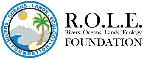 ROLE Foundation | Empower people through practical education programs ...